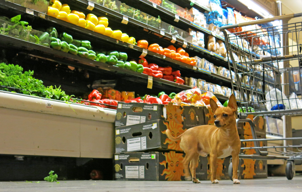 To-Jo Mushrooms Continues Support for Produce for Kids Campaign